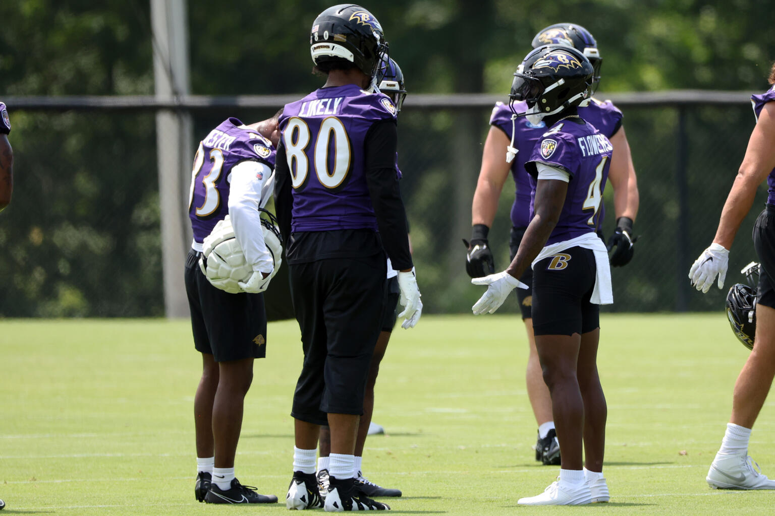Ravens Emerging Star Goes Down At Training Camp - EasySportz